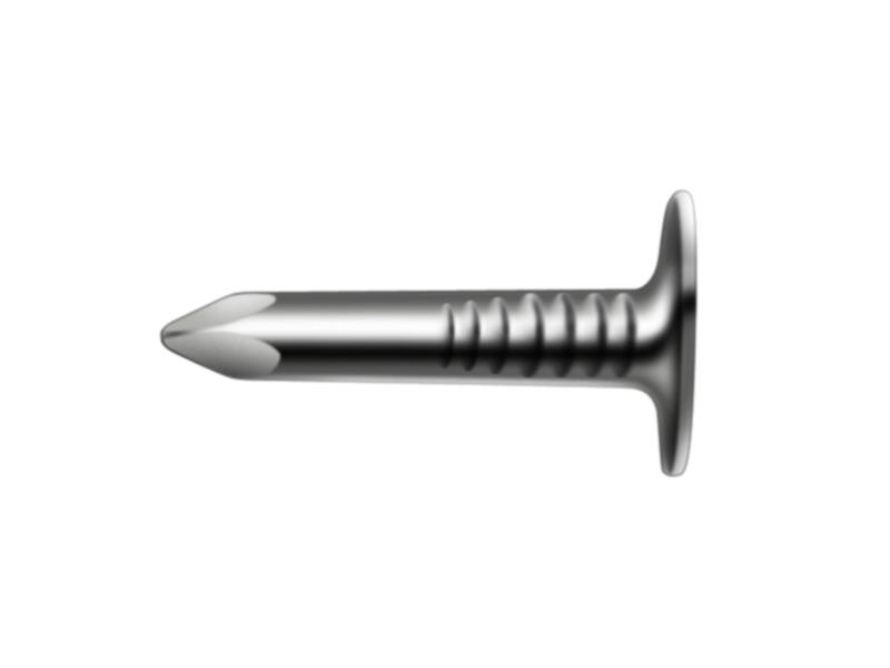 EXTRA LARGE HEAD CLOUT NAILS - Buy Online