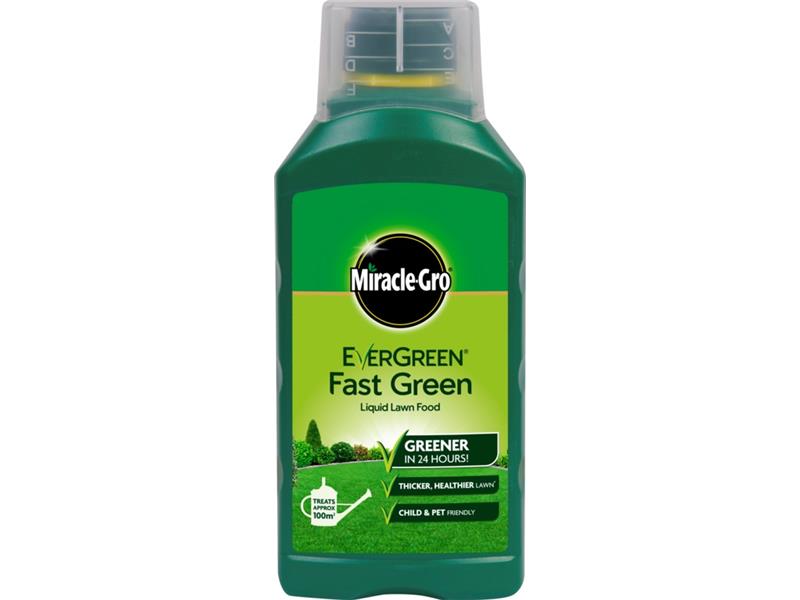 Evergreen Fast Green - Buy Online