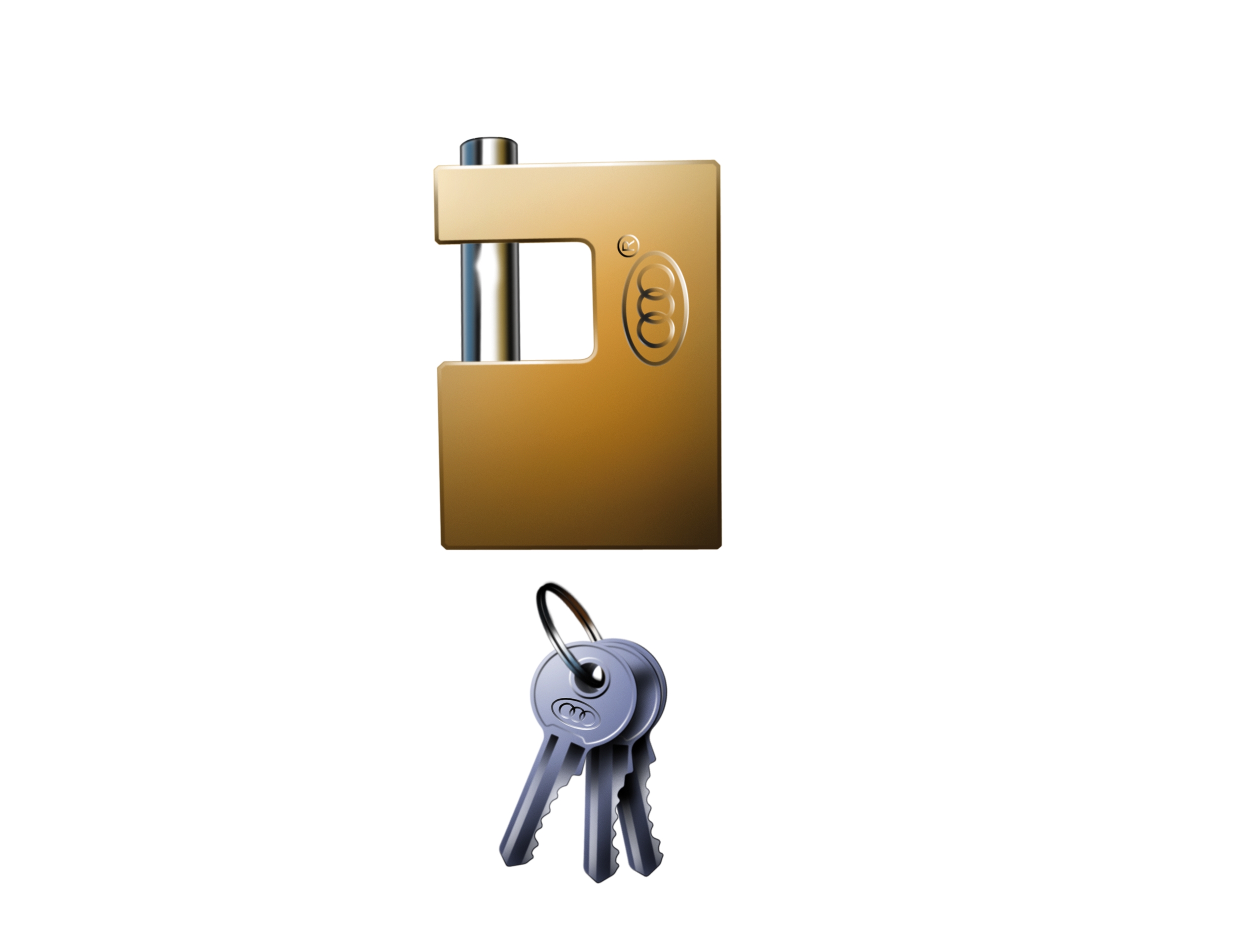 Brass Shutter Lock - Medium