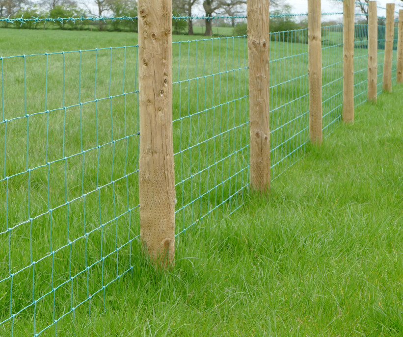 INCISED FENCE POSTS - Buy Online